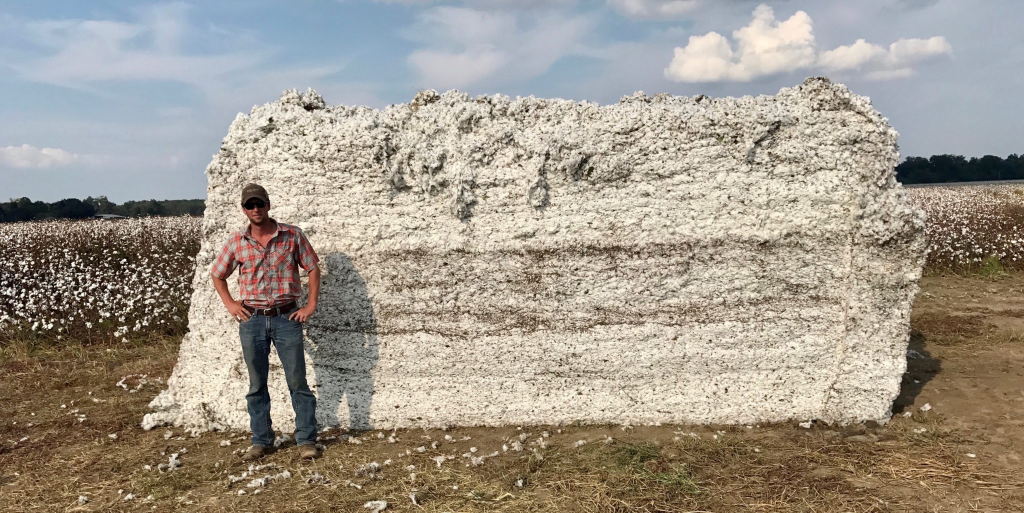 Growing with Data | CottonToday