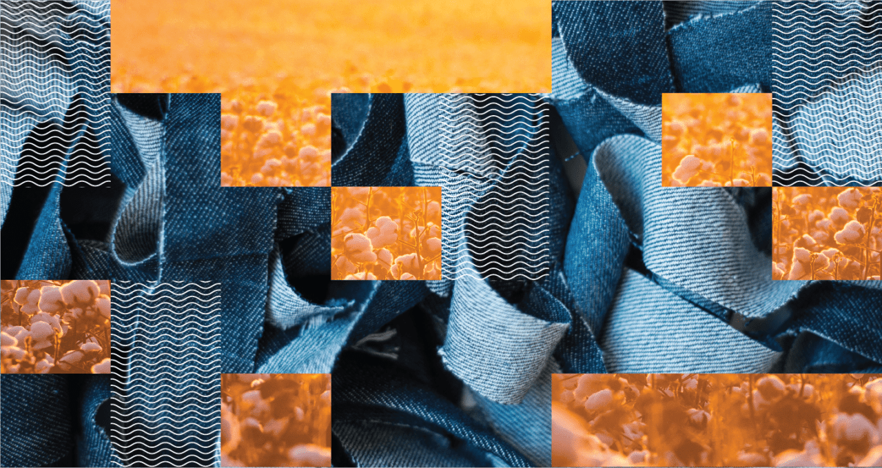 The Circularity of Cotton: Recyclability & Biodegradation