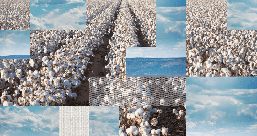 Water Sustainability in Cotton Production | Cotton Today