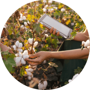 Reducing Emissions in Cotton Production | Cotton Today