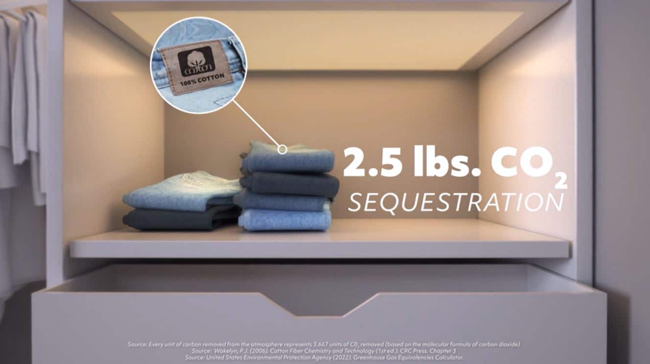 Videos - CottonToday