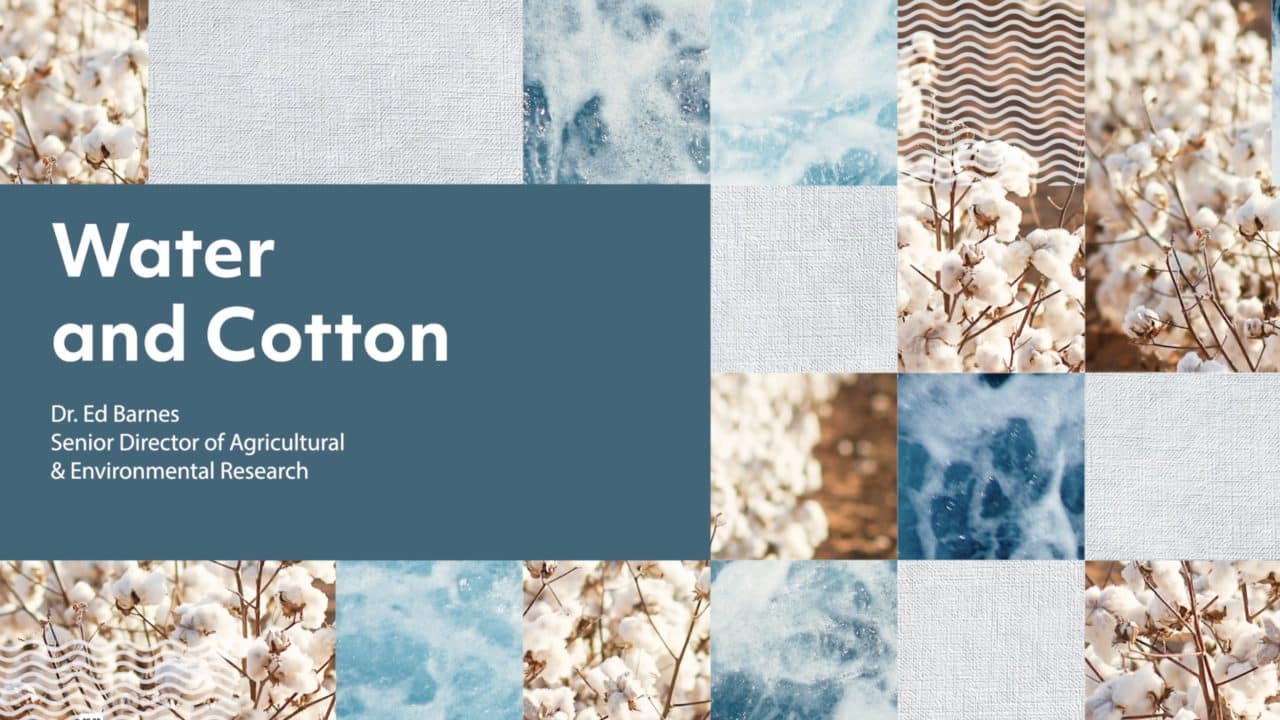 Water & Cotton - CottonToday