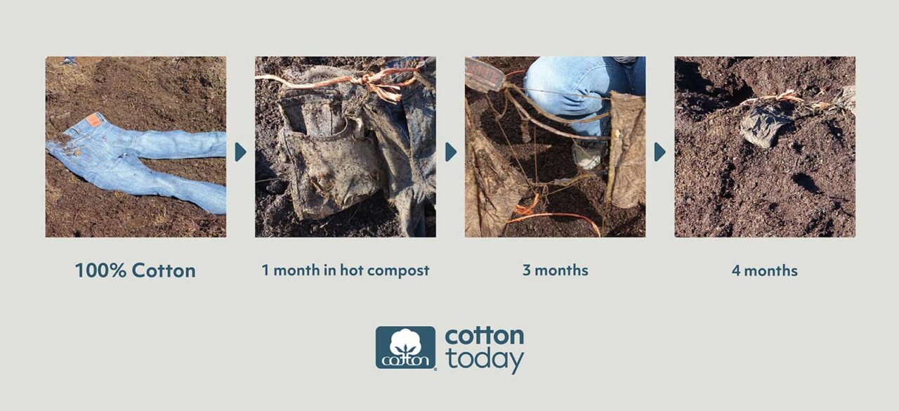 Cotton to Compost: Transform Waste Management in the Textile Industry ...